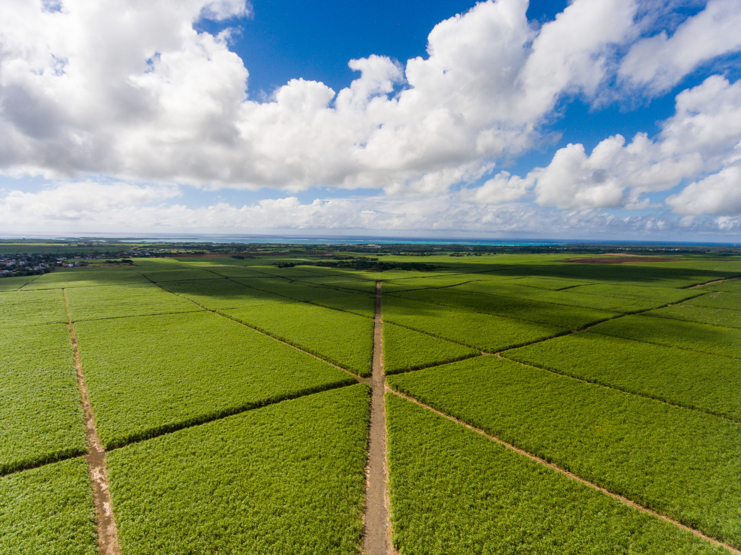 DJI_0026 – Mauritius Sugar Syndicate