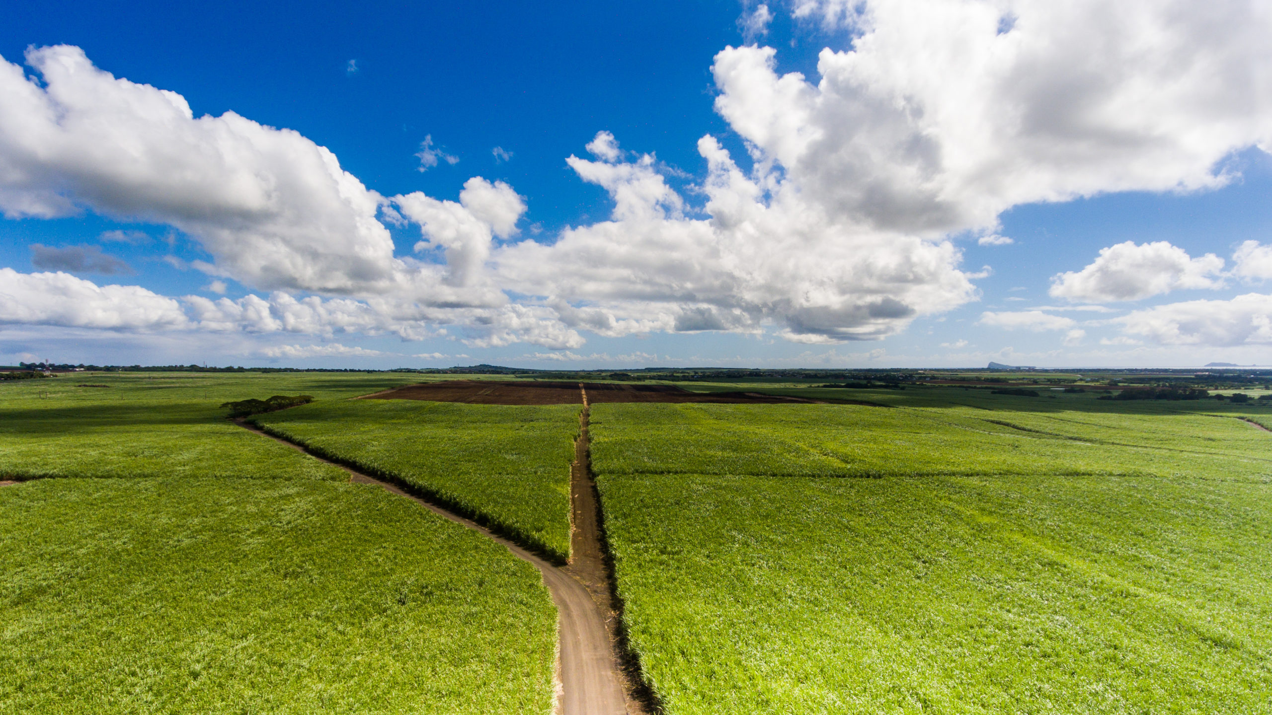 DJI_0044 – Mauritius Sugar Syndicate