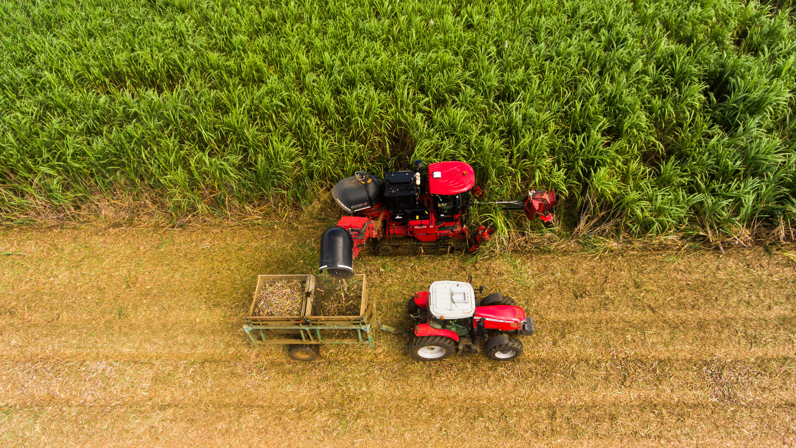 DJI_0050 – Mauritius Sugar Syndicate