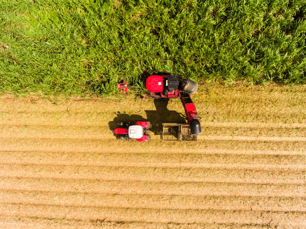 DJI_0055 – Mauritius Sugar Syndicate
