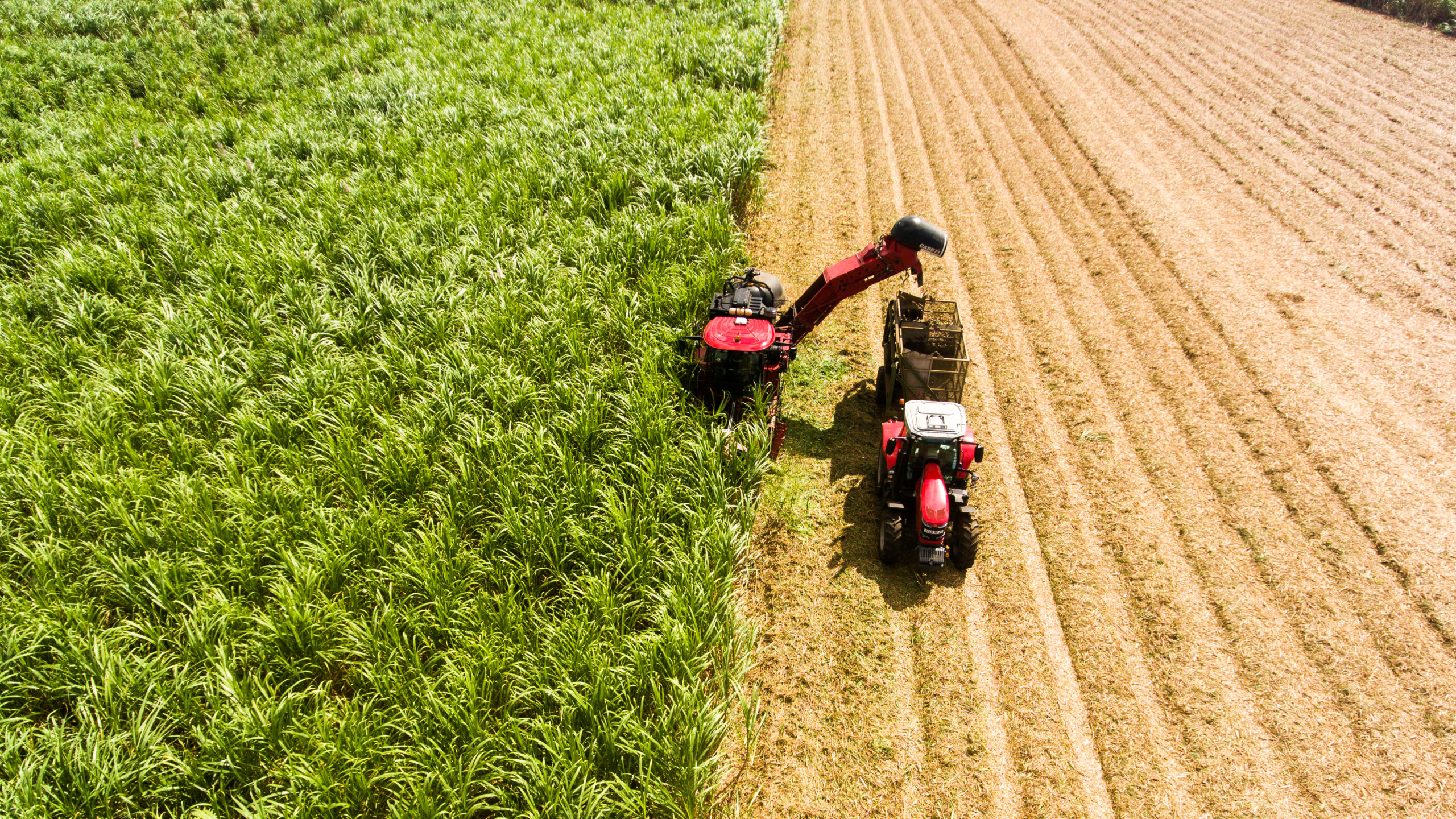 DJI_0063 – Mauritius Sugar Syndicate