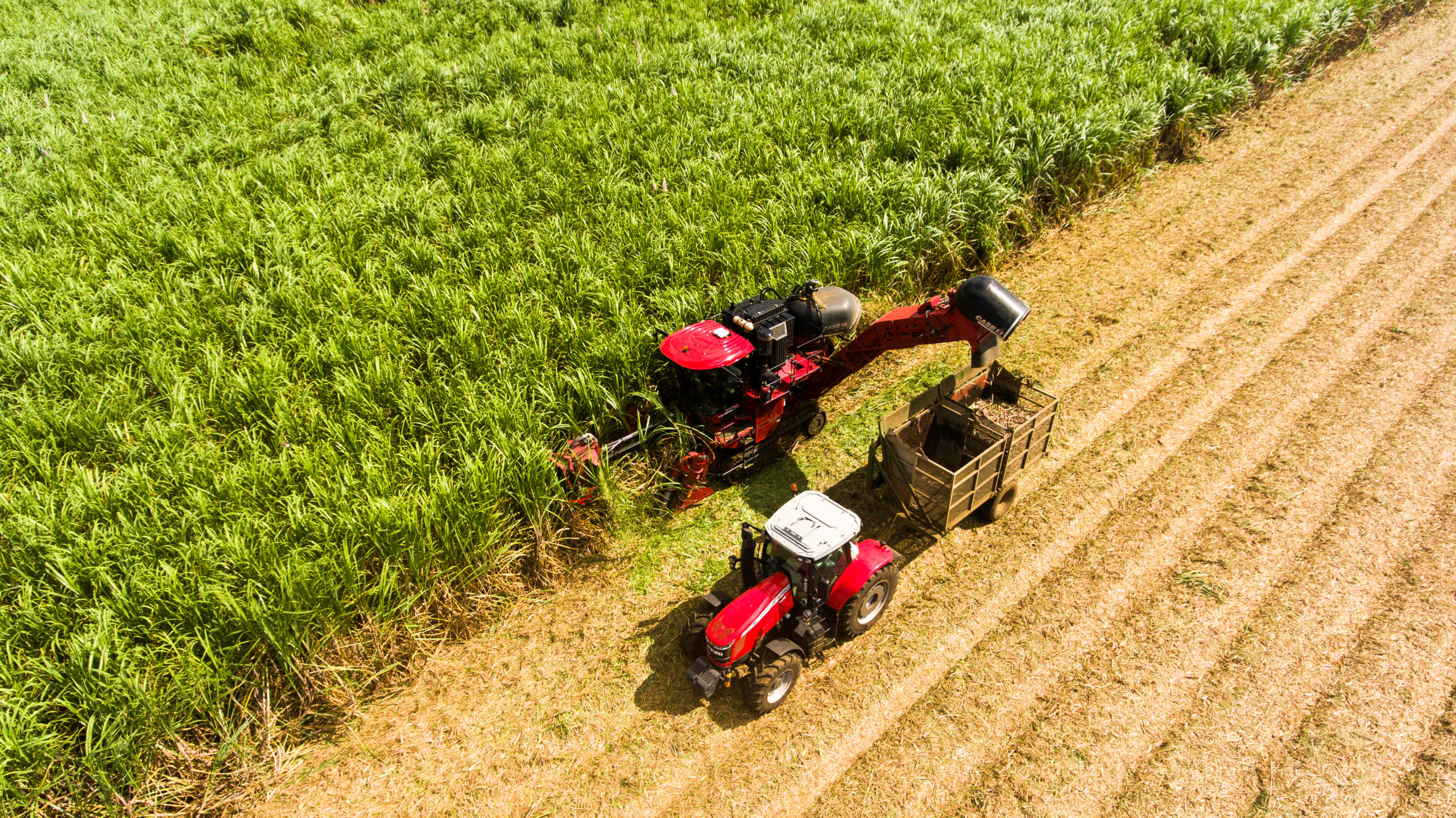 DJI_0064 – Mauritius Sugar Syndicate