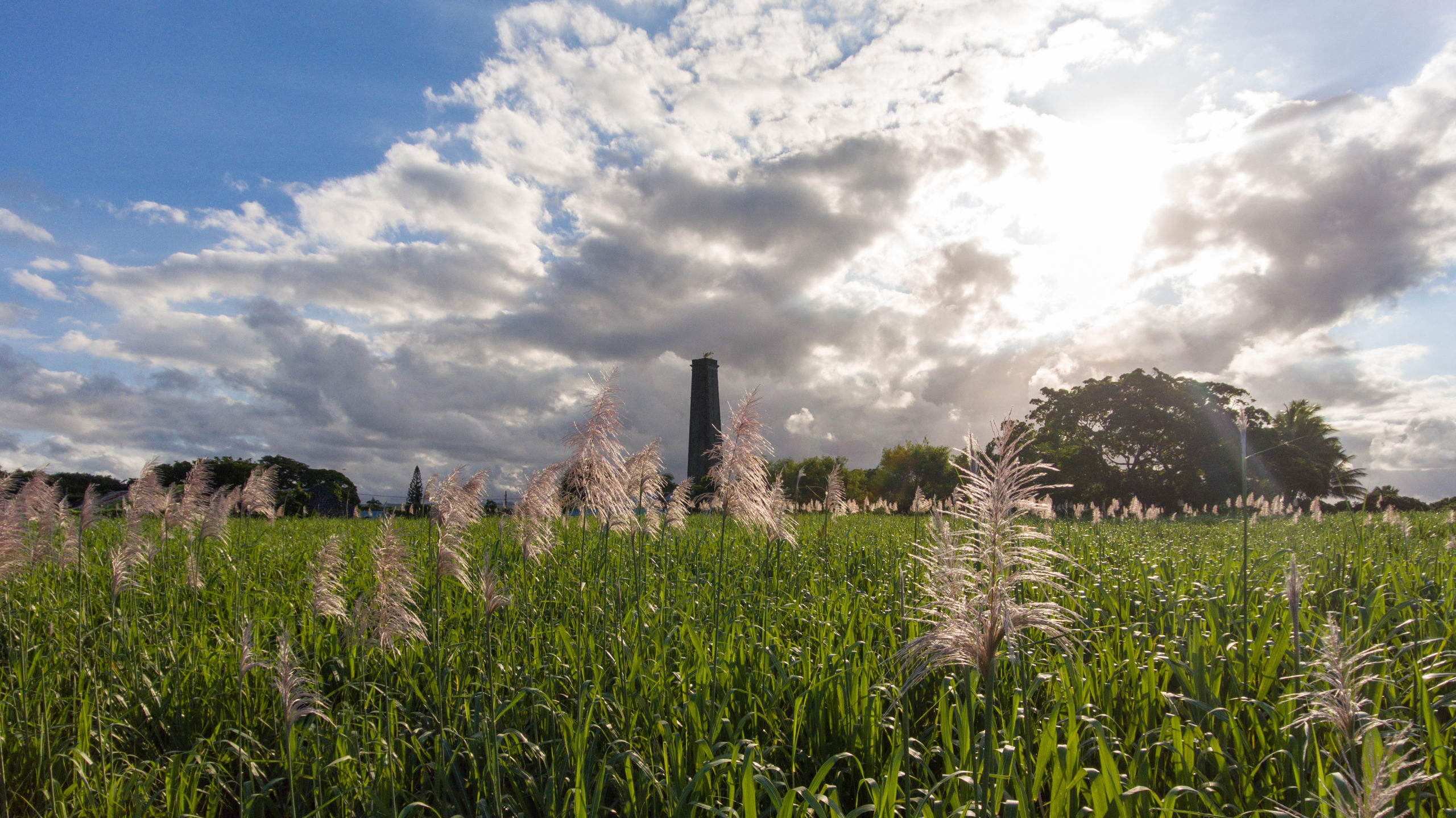 DJI_0078 – Mauritius Sugar Syndicate