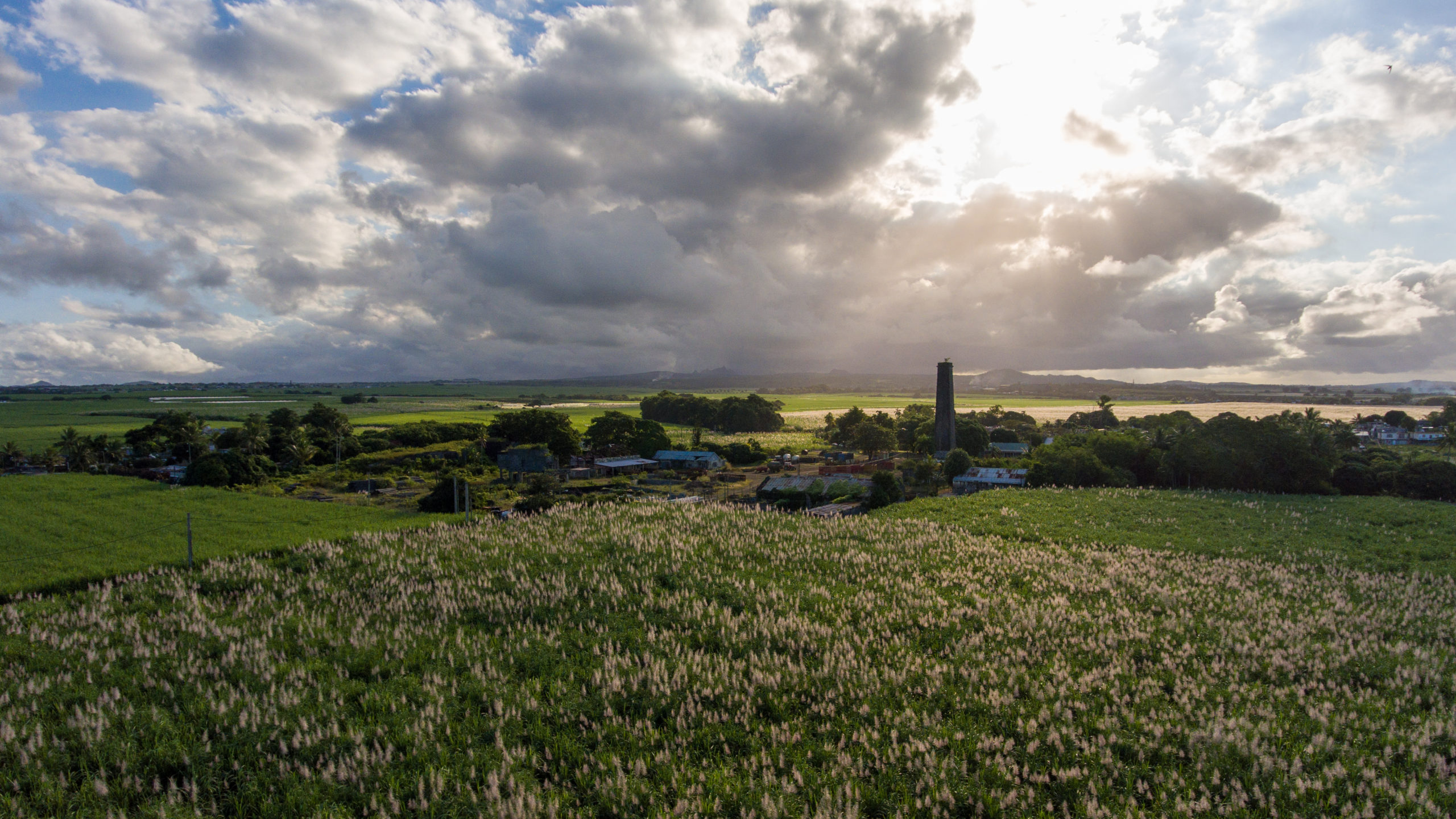 DJI_0104 – Mauritius Sugar Syndicate