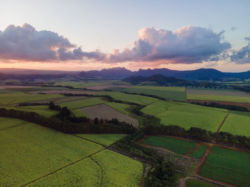DJI_0108 – Mauritius Sugar Syndicate