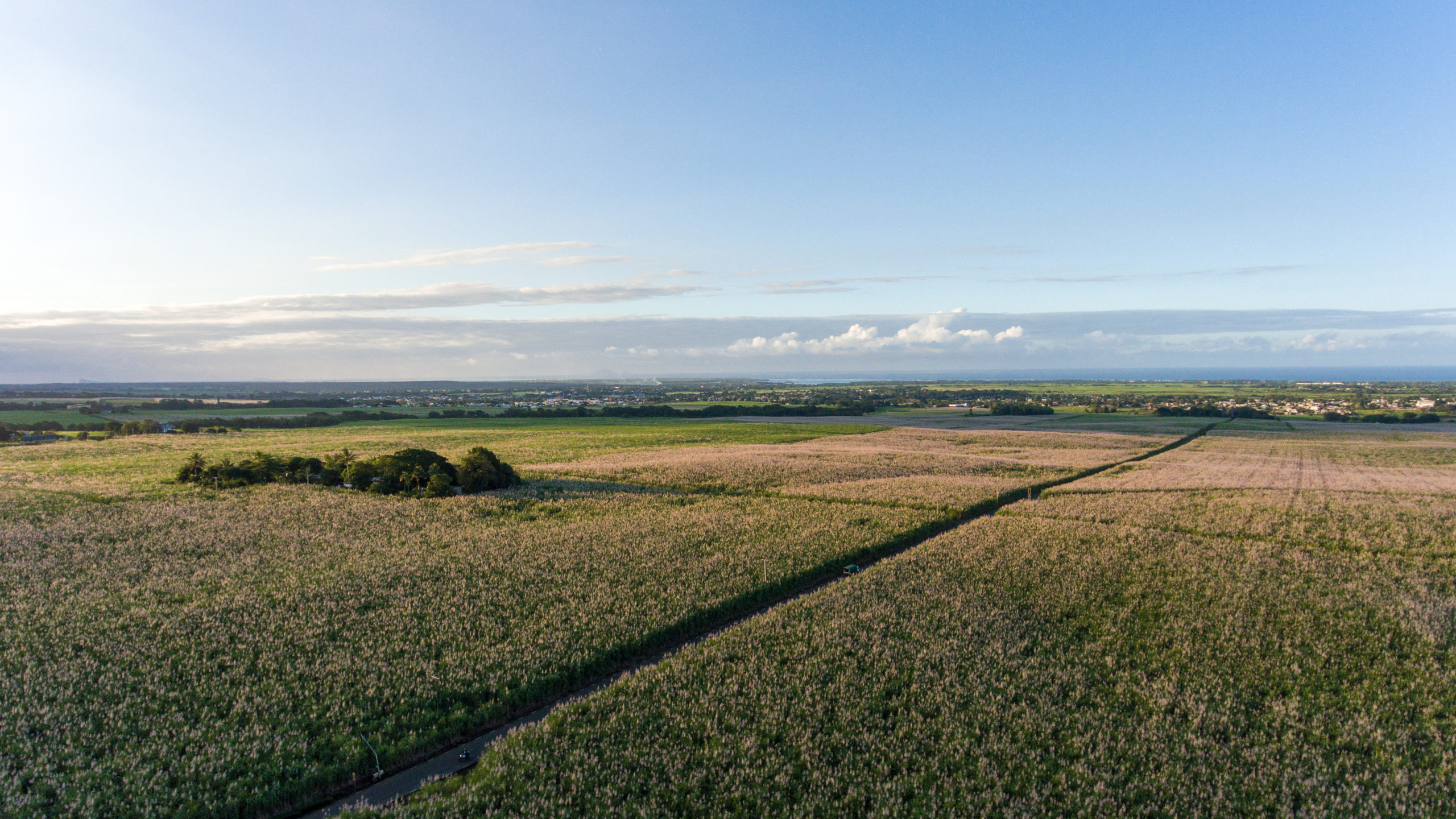 DJI_0116 – Mauritius Sugar Syndicate