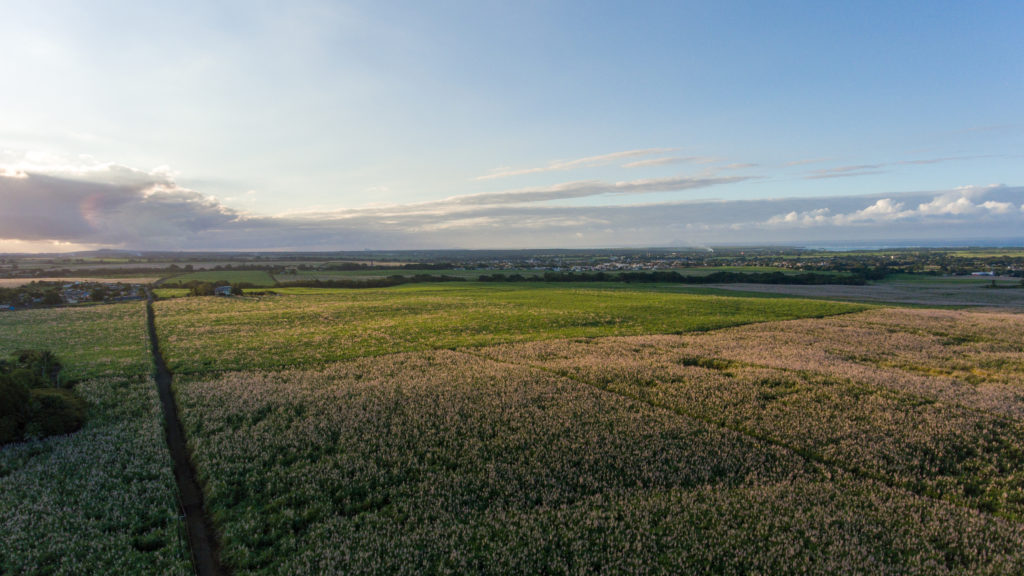 DJI_0124 – Mauritius Sugar Syndicate